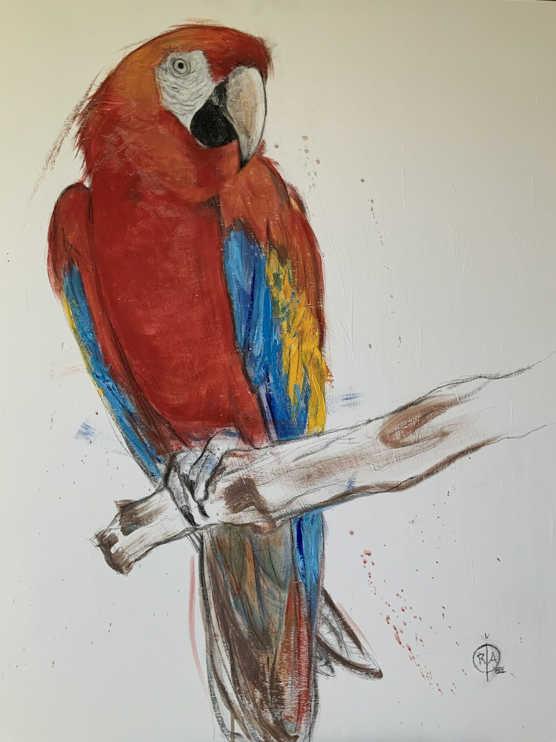 Aves | Oria Arte